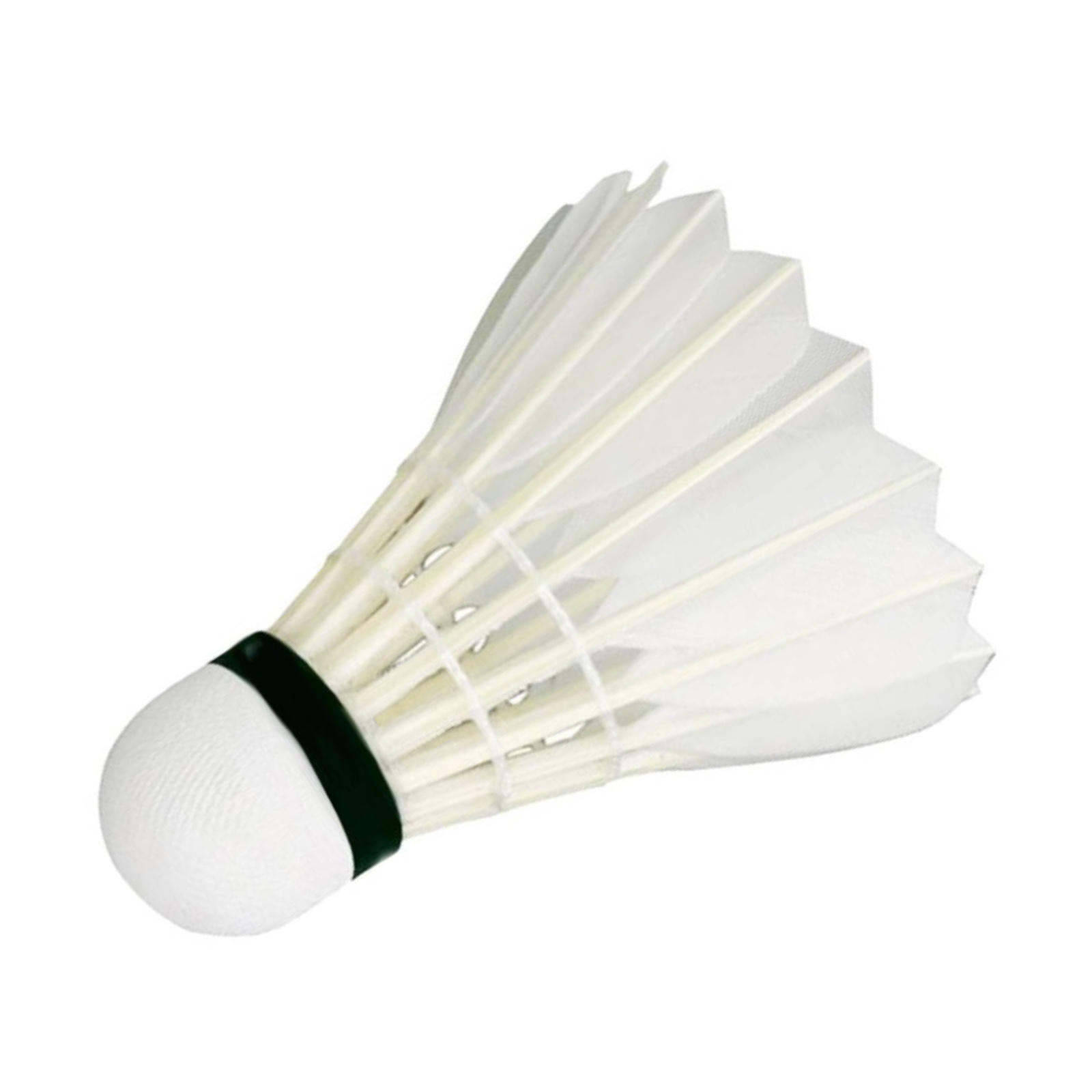 Badminton Shuttles Feather SG Training (Dozen) | Slater Gartrell Sports ...