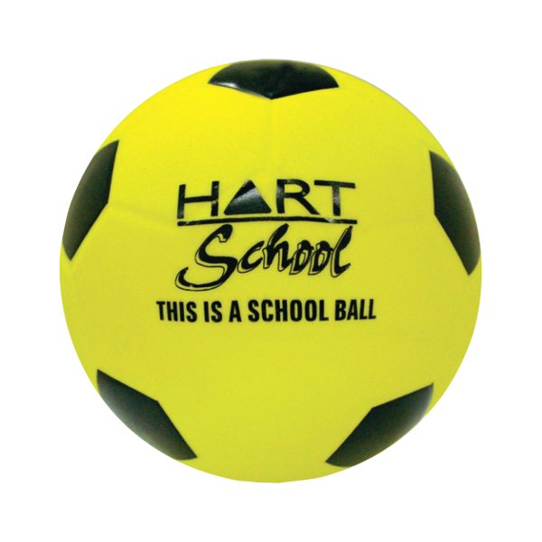 PVC School Balls